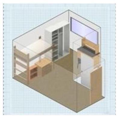 Single Dorm Room Layout Ideas
