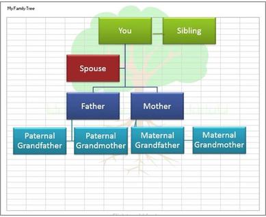 Excel Family Tree Template